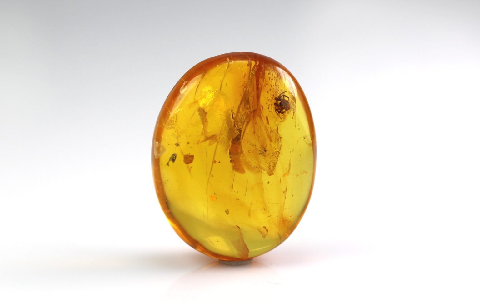 Baltic amber stone with small spider inclusion - Amberwithlove