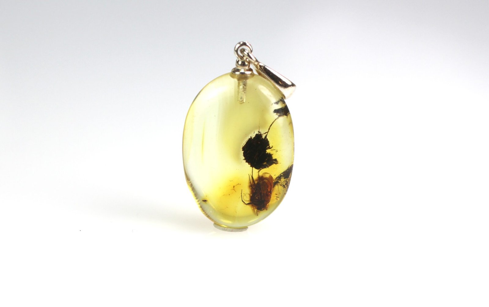 Amber pendant with FLY DIPTERA inclusion